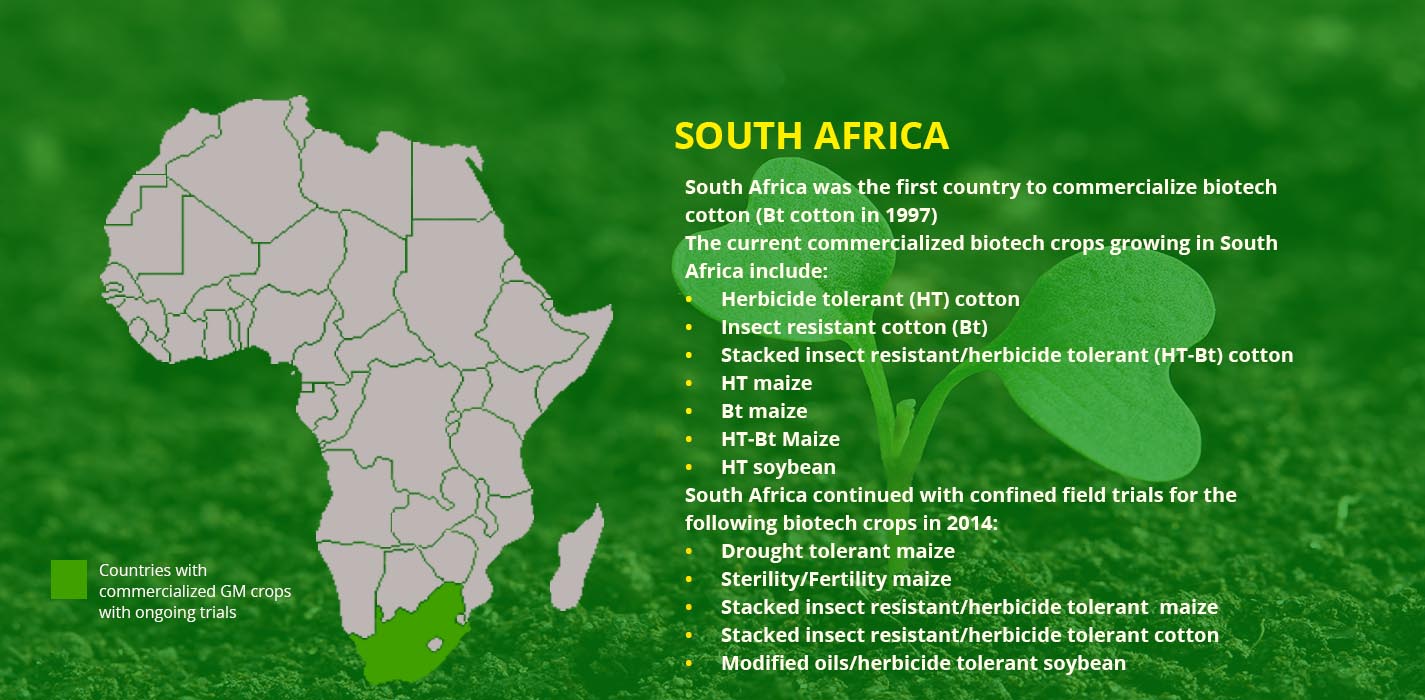 Status of Biotech Crops in Africa | ISAAA - AFRICENTER