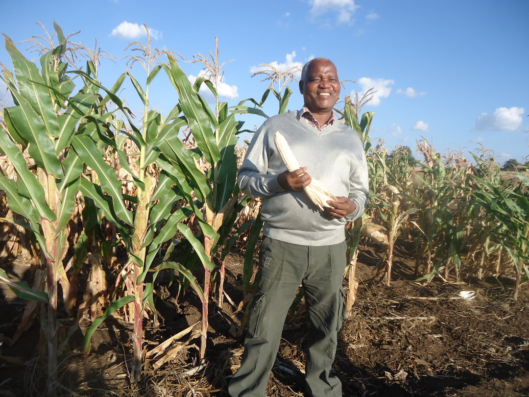 Kenyan Lawmaker Champions Uptake of GMOs to Boost Food Security | ISAAA ...