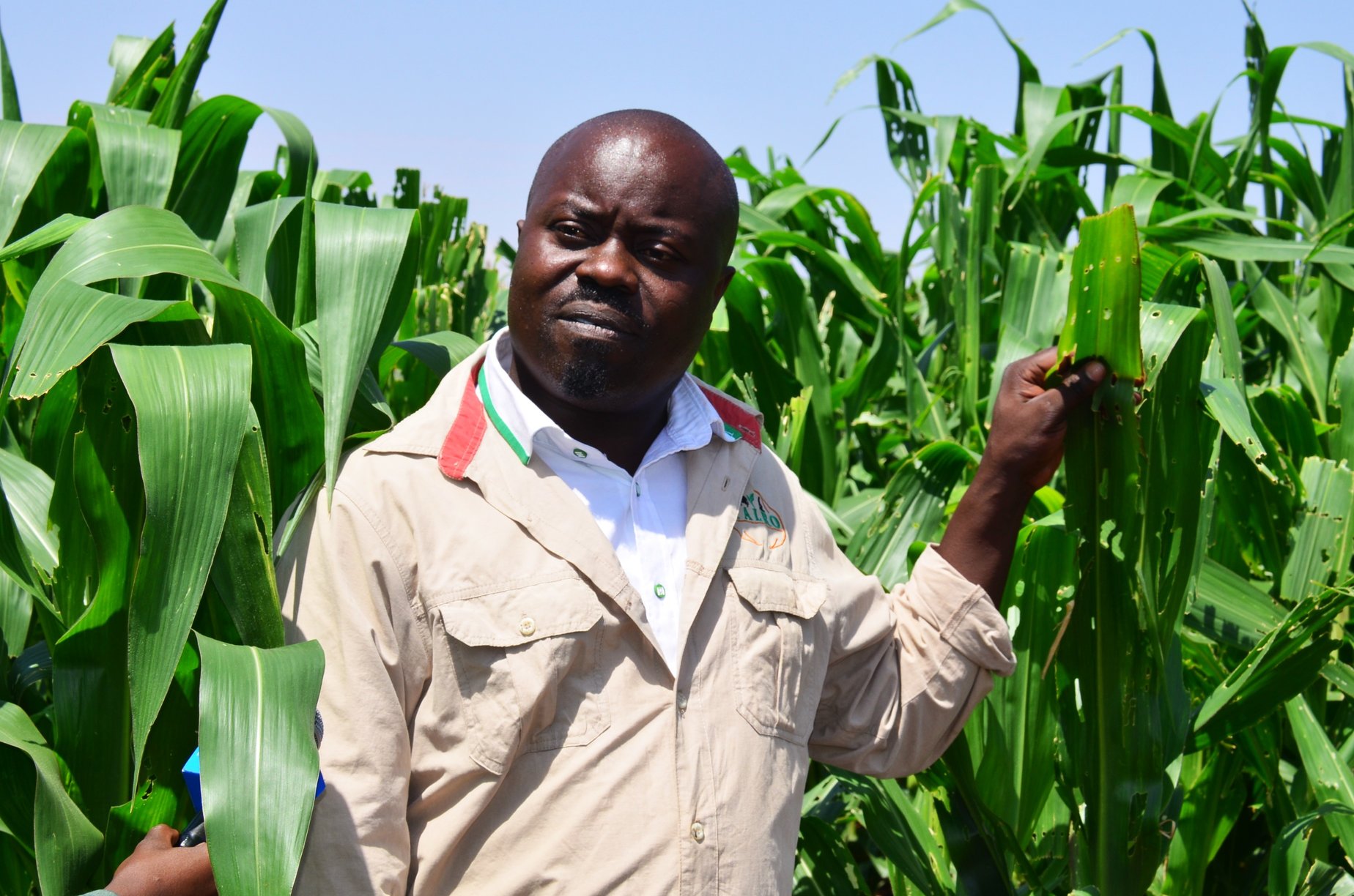 What will it take to trust Scientists on GMOs? | ISAAA - AFRICENTER