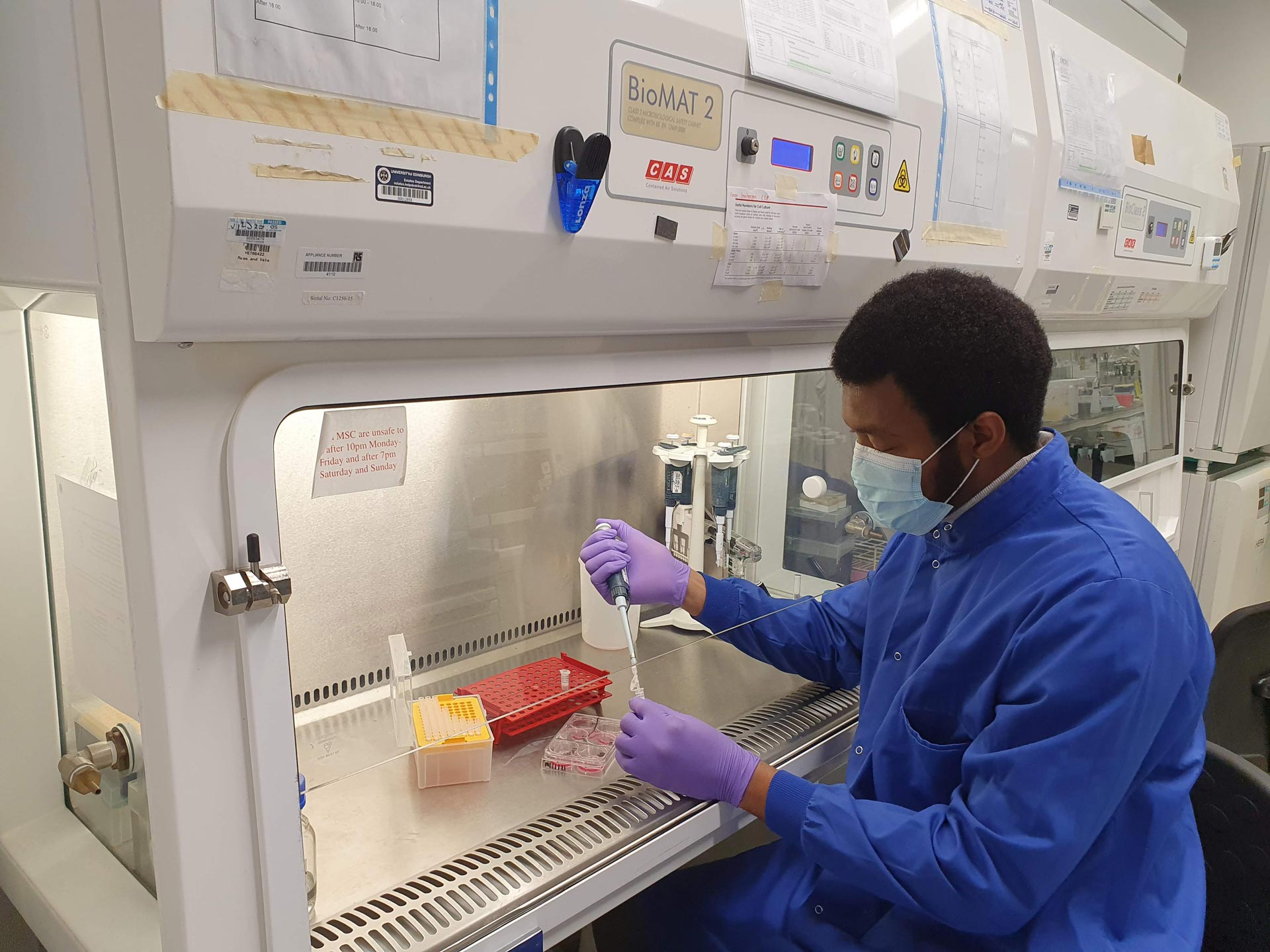 Inside Research Project Developing Genome Edited Chickens Resistant to ...