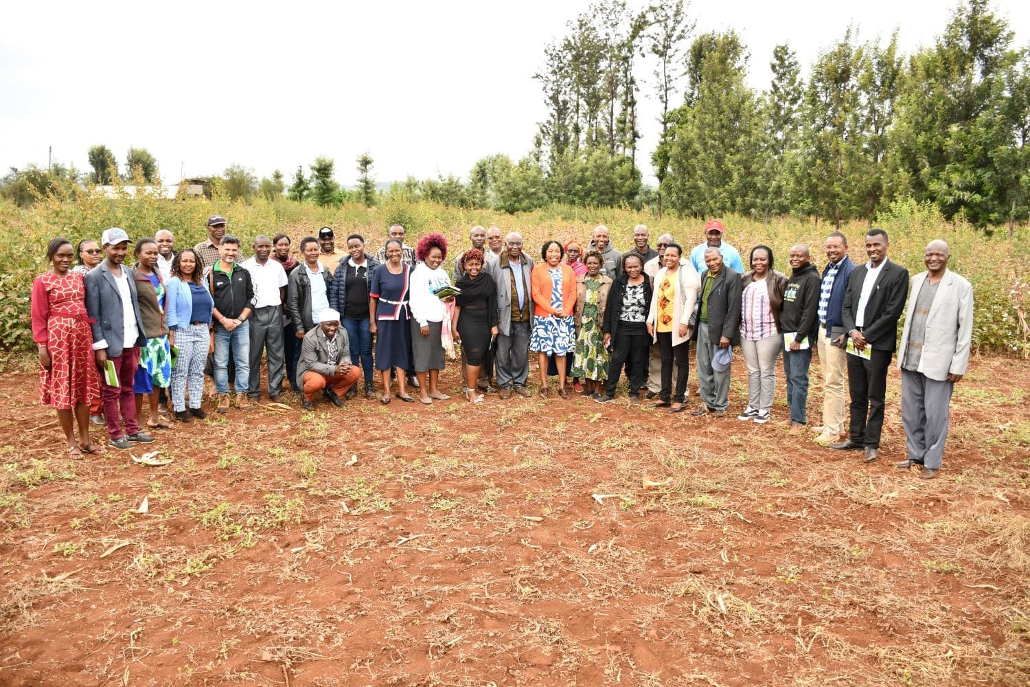 Kenyan Government takes a Bold Step in the Fight against Misinformation ...